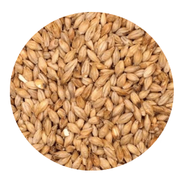 Vienna Malt - Best Malz (per lb) – Noble Grape