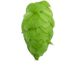 Hops - Citra Leaf – Noble Grape