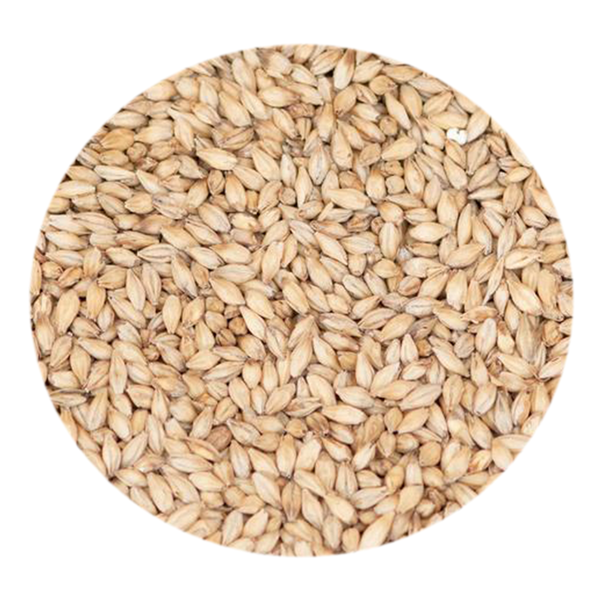 German Pilsner Malt - Best Malz (per lb) – Noble Grape